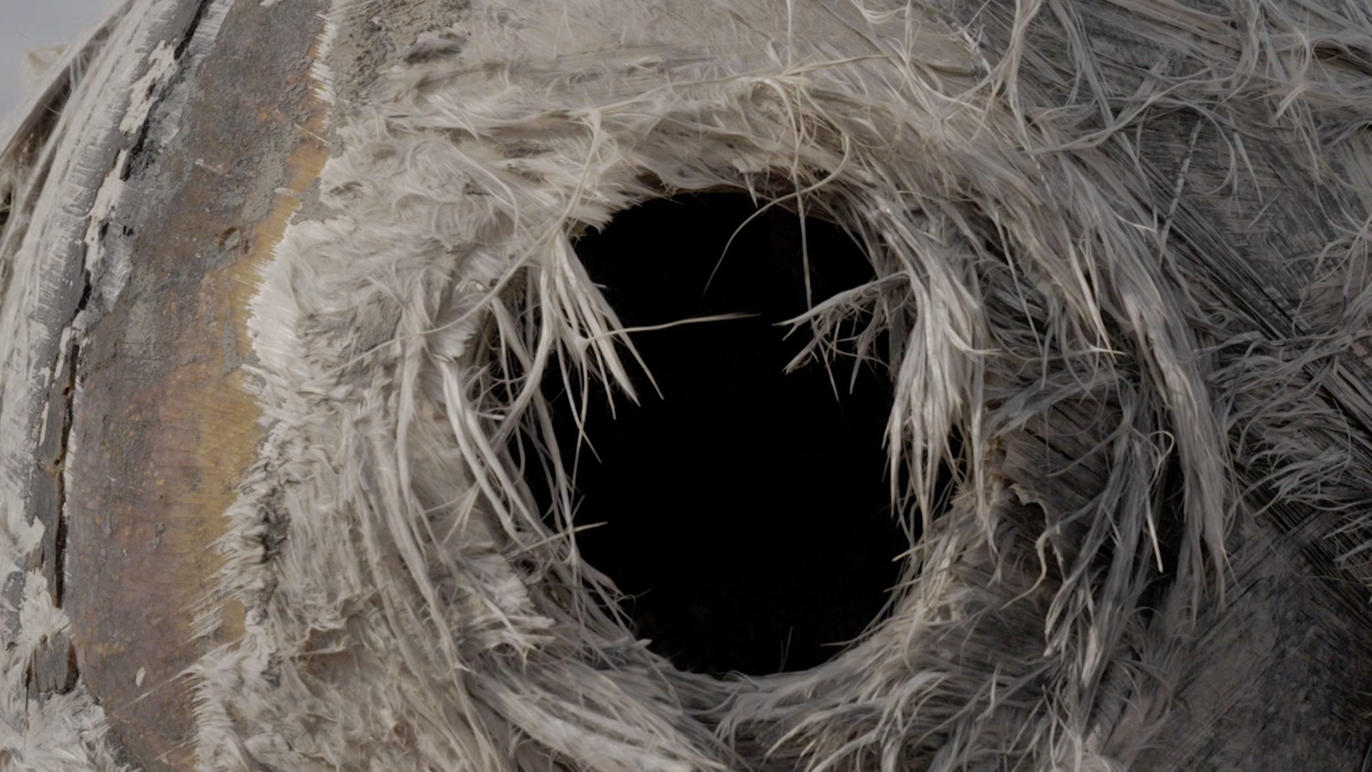 CAWA 亚洲女性艺术联结 — Xin Liu