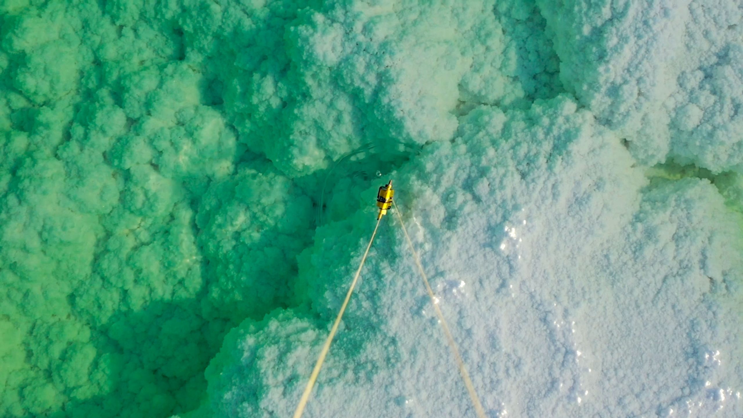 CAWA 亚洲女性艺术联结 — Xin Liu