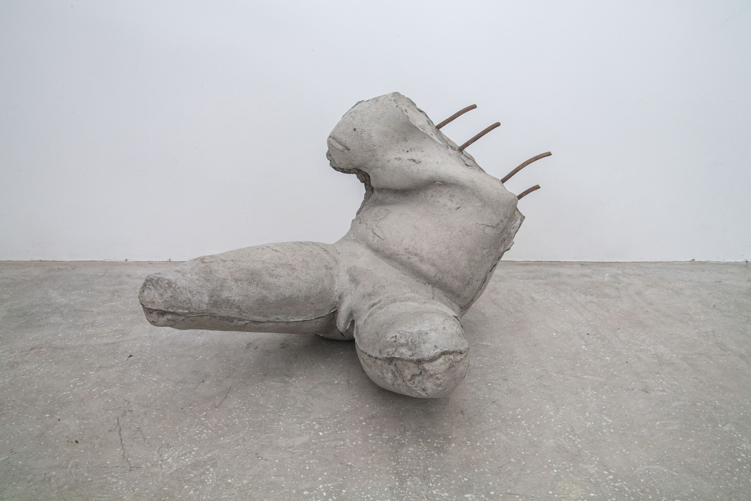 CAWA 亚洲女性艺术联结 — Yu Ji