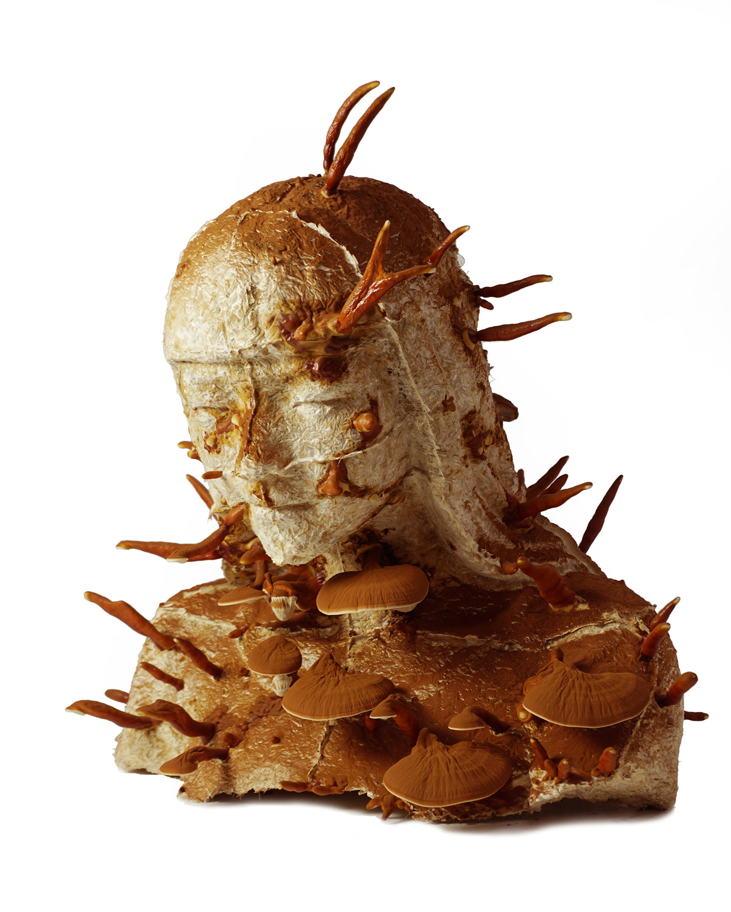 CAWA 亚洲女性艺术联结 — Xiaojing Yan