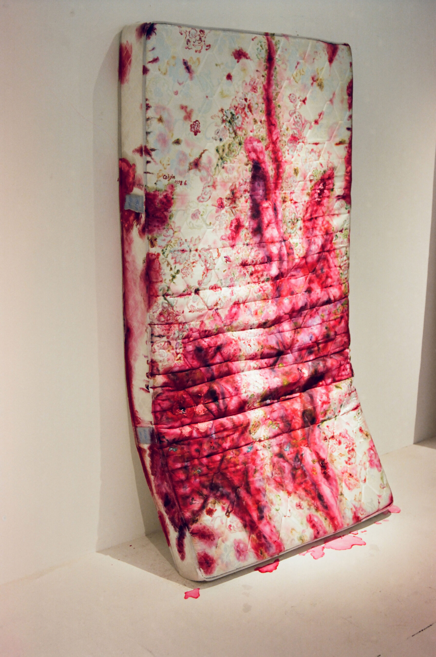 CAWA 亚洲女性艺术联结 — Cai Jin