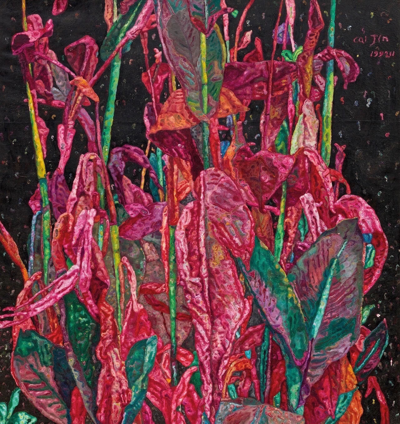 CAWA 亚洲女性艺术联结 — Cai Jin