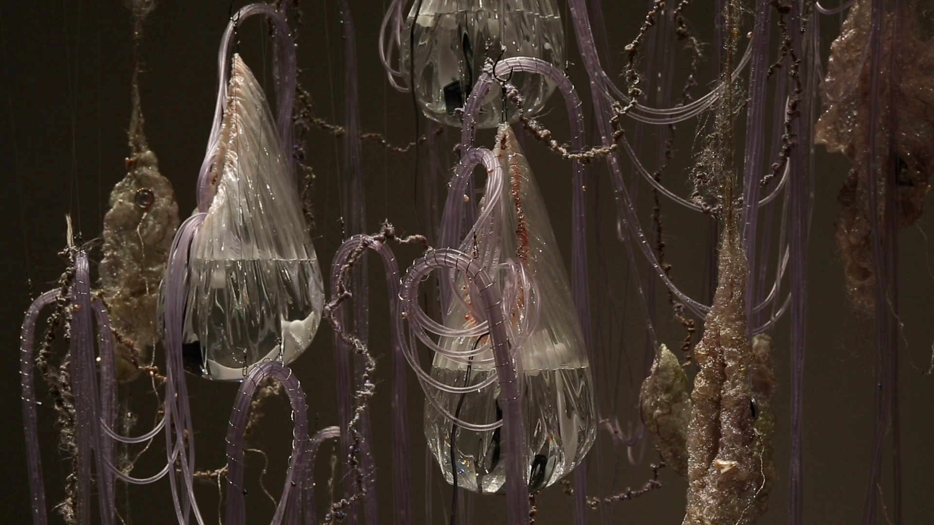 CAWA 亚洲女性艺术联结 — Chun Shao