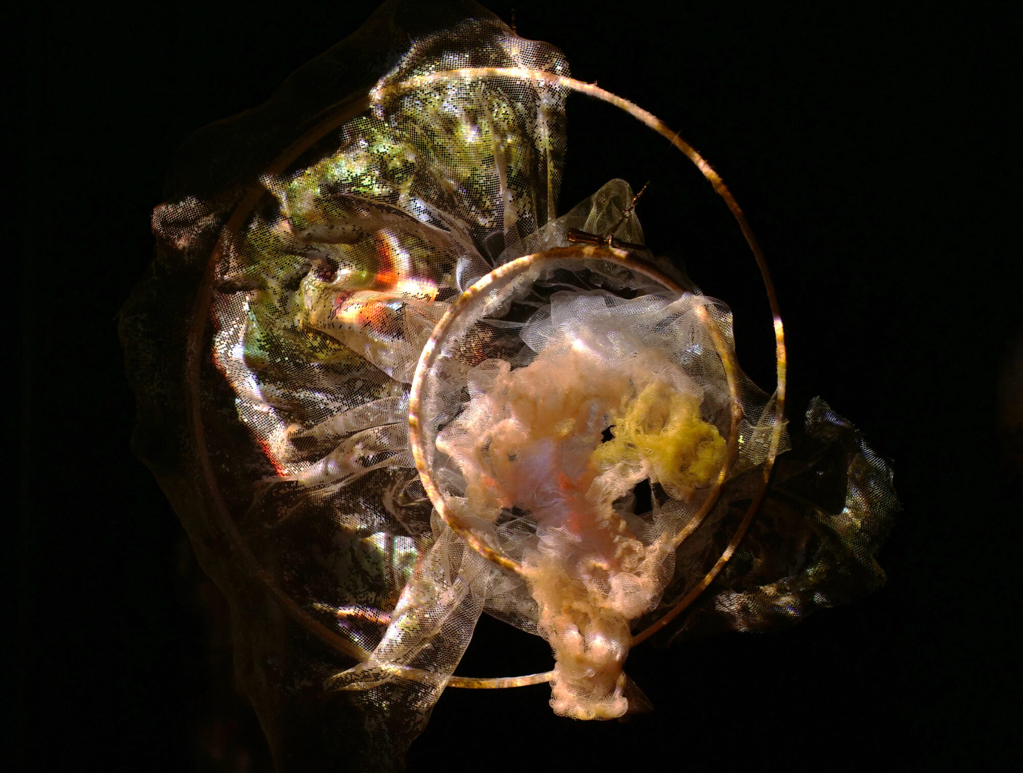 CAWA 亚洲女性艺术联结 — Chun Shao